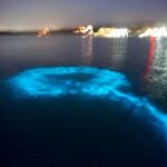 Blue Hole Island Gully and Glistening Water Lagoons night Tour - Final Thoughts