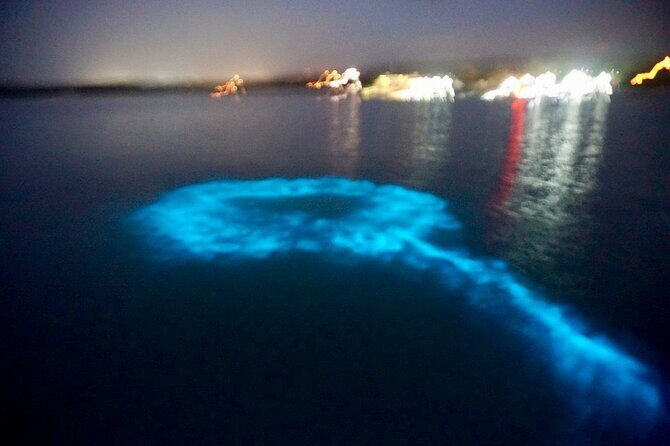 Blue Hole Island Gully and Glistening Water Lagoons night Tour - Final Thoughts