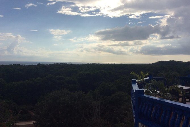 Blue Hole Mineral Springs, Rick's Café, and Shopping Combo Tour - Transportation & Logistics