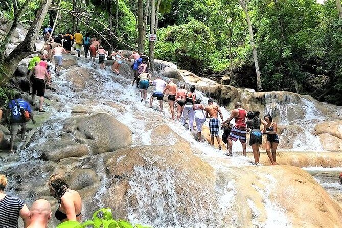 Blue Hole, Secret Falls, and Dunn's River Falls Combo Day-Trip - Who Will Enjoy This Tour Most?