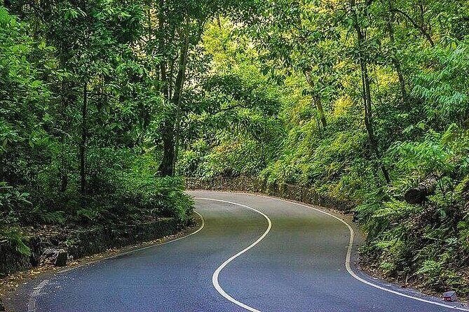 Blue Hole Secret Falls & O/Rios Highlight View Scenic Fern Gully - What’s Included and What’s Not