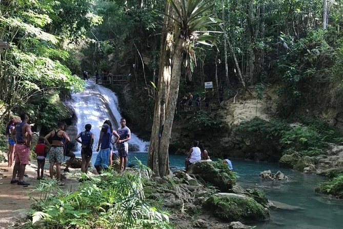 Blue Hole Tours from Montego Bay - The Blue Hole: What Youll Do