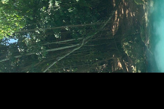 Blue hole waterfalls tour from Ocho Rios - Discovering the Blue Hole Waterfalls: What to Expect