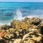 Blue Lagoon & Laguna el dudu from puerto plata - What to Expect on This Tour