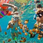 Blue lagoon Private Snorkeling Adventure Bali - The Value of a Guided Underwater Journey