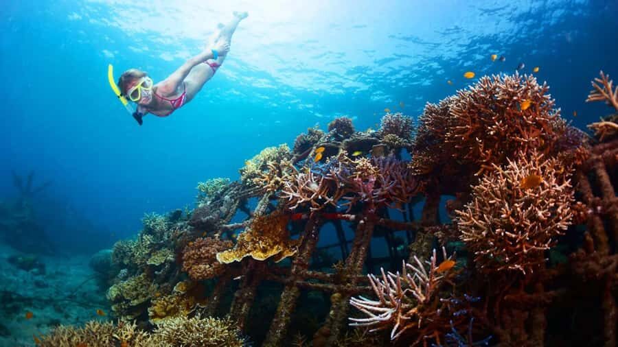 Blue lagoon Snorkeling Tour with Lunch & Private Transfers - Who Will Love This Tour?