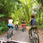 Blue Mountain Bicycle Tour - Final Thoughts