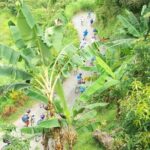 Blue Mountain Bicycle Tour Experience - Practical Considerations