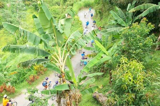 Blue Mountain Bicycle Tour Experience - Practical Considerations