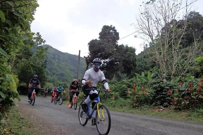 Blue Mountain Bicycle Tour from Montego Bay - Practical Tips for Potential Participants