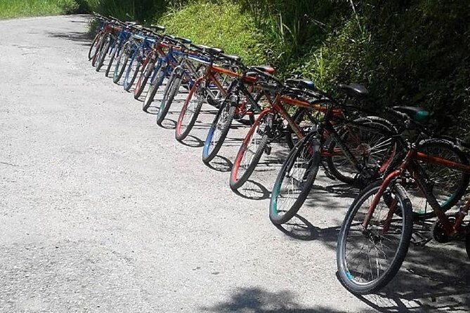 Blue Mountain Bicycle Tour from Runaway Bay - Final Thoughts