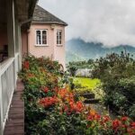 Blue Mountain Coffee, Bob Marley and Art Tour from Montego Bay - Analyzing the Value