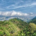 Blue Mountain Coffee Hike and Tour - Who Will Love This Tour?