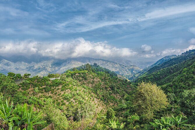 Blue Mountain Coffee Hike and Tour - Who Will Love This Tour?