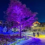 Blue Mountain Daily Winter Shuttle from Toronto (GTA) - A Practical Guide to the Blue Mountain Daily Winter Shuttle