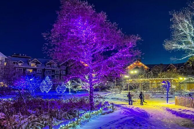 Blue Mountain Daily Winter Shuttle from Toronto (GTA) - A Practical Guide to the Blue Mountain Daily Winter Shuttle