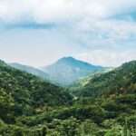 Blue Mountain Highlights - FAQ