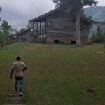 Blue Mountain Sight-Seeing & Nature Trail Hike with Private Guide - Authentic Traveler Perspectives