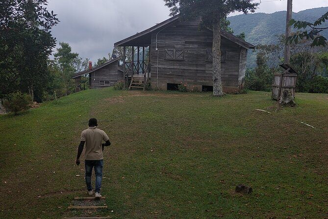 Blue Mountain Sight-Seeing & Nature Trail Hike with Private Guide - Authentic Traveler Perspectives