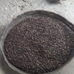 Blue Mountain Tour with Hotel Transportation - Authenticity and Cultural Insights