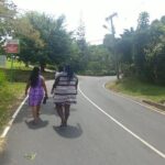 Blue Mountains Coffee Private Tour from Kingston - A Close Look at the Itinerary