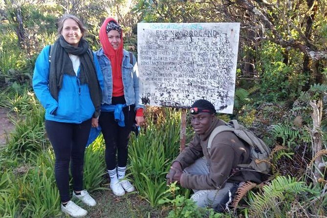 Blue Mountains Peak Hike - The Sum Up: Who Will Love the Blue Mountains Peak Hike?