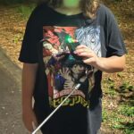 Blue Ridge: Haunted Walking Tour with Ghost Hunting - The Sum Up