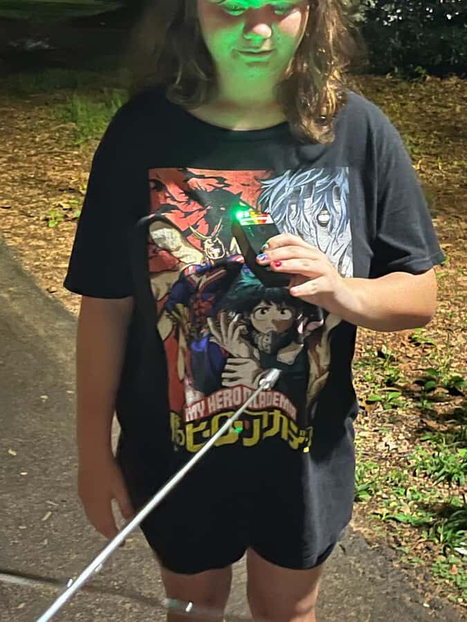 Blue Ridge: Haunted Walking Tour with Ghost Hunting - The Sum Up