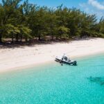 Bluefinn242 Swim with the Turtles in Nassau Bahamas - The Value of the Tour