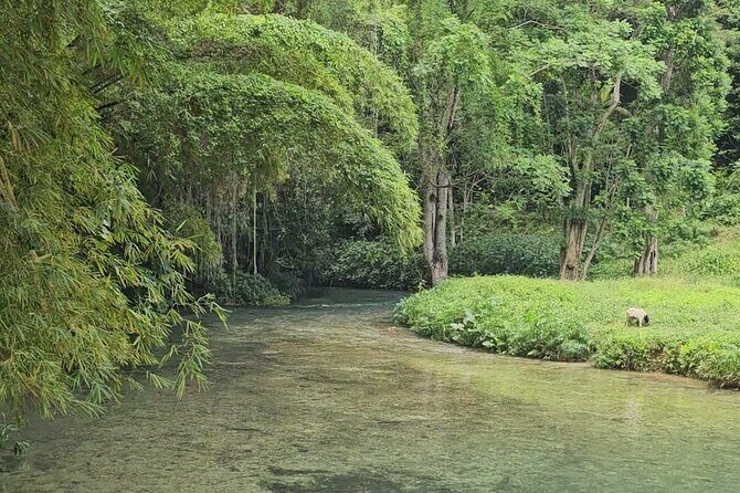 Bluehole secret falls & ATV Experience tour from Montego Bay - Practical Details: What You Need to Know