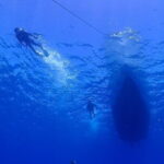 Boat Fundive 2Dives Minna, Sesoko , Motobu Okinawa - In-Depth Look at the Itinerary