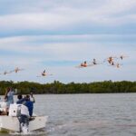 Boat tour in Río Lagartos Natural Reserve, with Food - Detailed Breakdown of the Itinerary