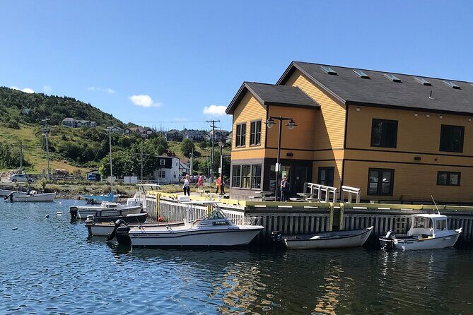 Boat Tours from Quidi Vidi Marina - FAQ
