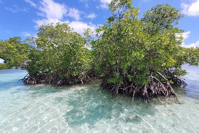 Boat trip EN 1/2 Day in the Grand Ass DE Sac Marin - What’s Included and What to Bring