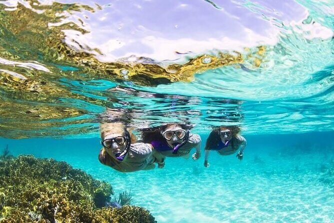 Boatride & Snorkeling then Margaritaville Hipstrip Activity - Why This Tour Offers Real Value