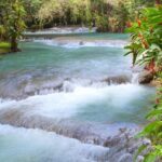 Bob Marley Birthplace and Dunns River Falls Private Tour - What Makes This Tour Stand Out?