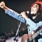 Bob Marley Culture and Dunn's River Falls Experience Montego Bay - Final Thoughts: Is This Tour Right for You?