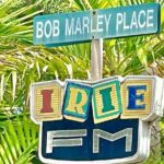 Bob Marley Mausoleum in Nine Miles St. Ann's Private Tour - Detailed Breakdown of the Itinerary