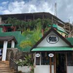 Bob Marley Nine Mile Admission and Guided Tour from Ocho Rios - Additional Highlights