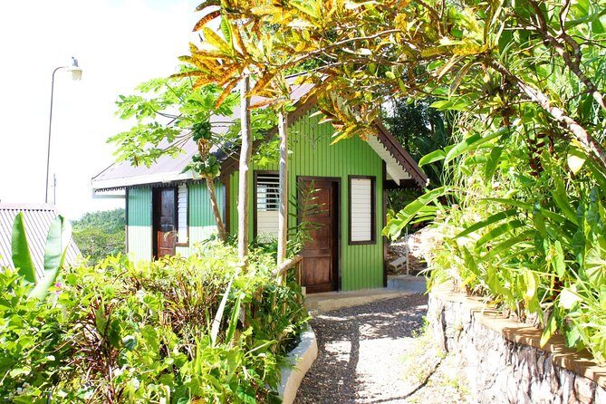 Bob Marley Nine Mile - Dunn's River Falls and Columbus Park Day Adventure - Why Choose This Tour?