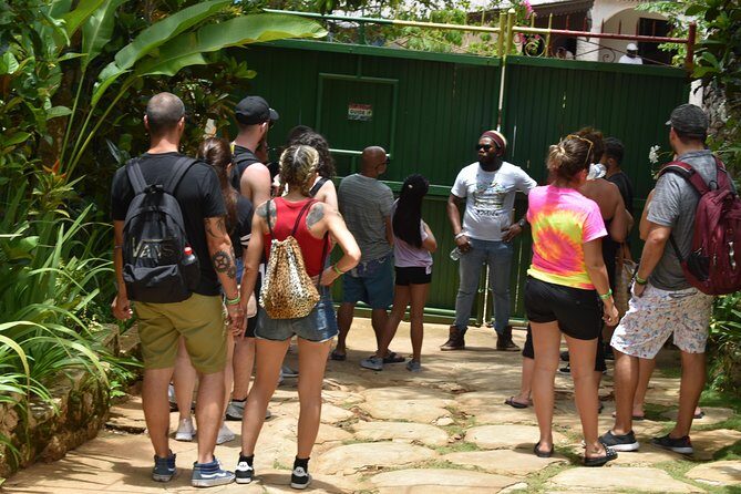 Bob Marley's Nine Mile Admission and Guided Tour from Montego Bay - The Itinerary: What to Expect on the Day Trip