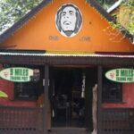 Bob Marleys One Love Private Tour 9 Mile - Additional Stop: Dunns River Falls