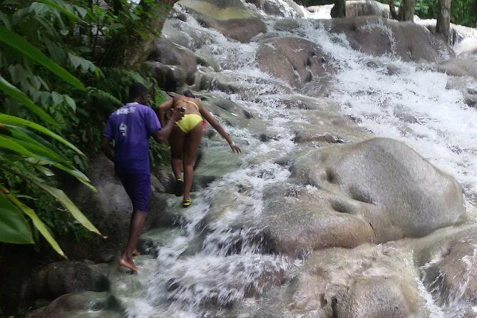 Bobsled Mystic Mountain - Dunn's river - Bob Marley From Ocho Rios - What Travelers Say
