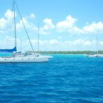 Boca Chica: Saona Island Full-Day Tour with Catamaran Ride - Practical Details and Tips