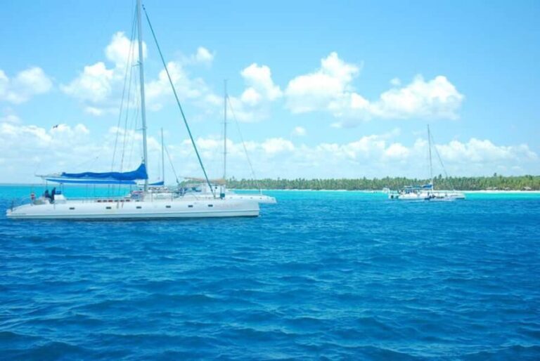 Boca Chica: Saona Island Full-Day Tour with Catamaran Ride - Practical Details and Tips