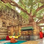Bodhgaya Temple Town Tour 3D/2N - Day 1: An In-Depth Introduction at the Mahabodhi Temple