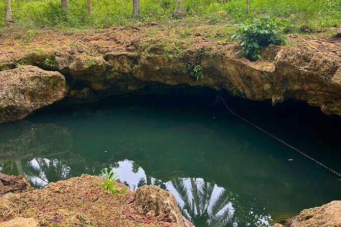 Bohol Anda & Candijay Caves and Waterfalls Private Tour - Analyzing the Value