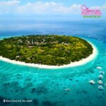 Bohol: Island Hopping with Dolphins, Turtles & Snorkeling - The Quality and Value