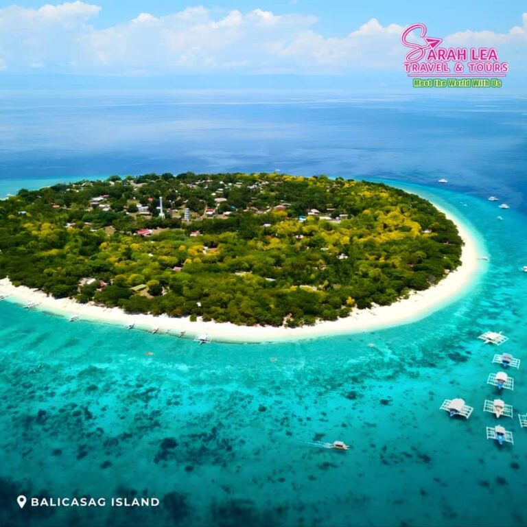 Bohol: Island Hopping with Dolphins, Turtles & Snorkeling - The Quality and Value