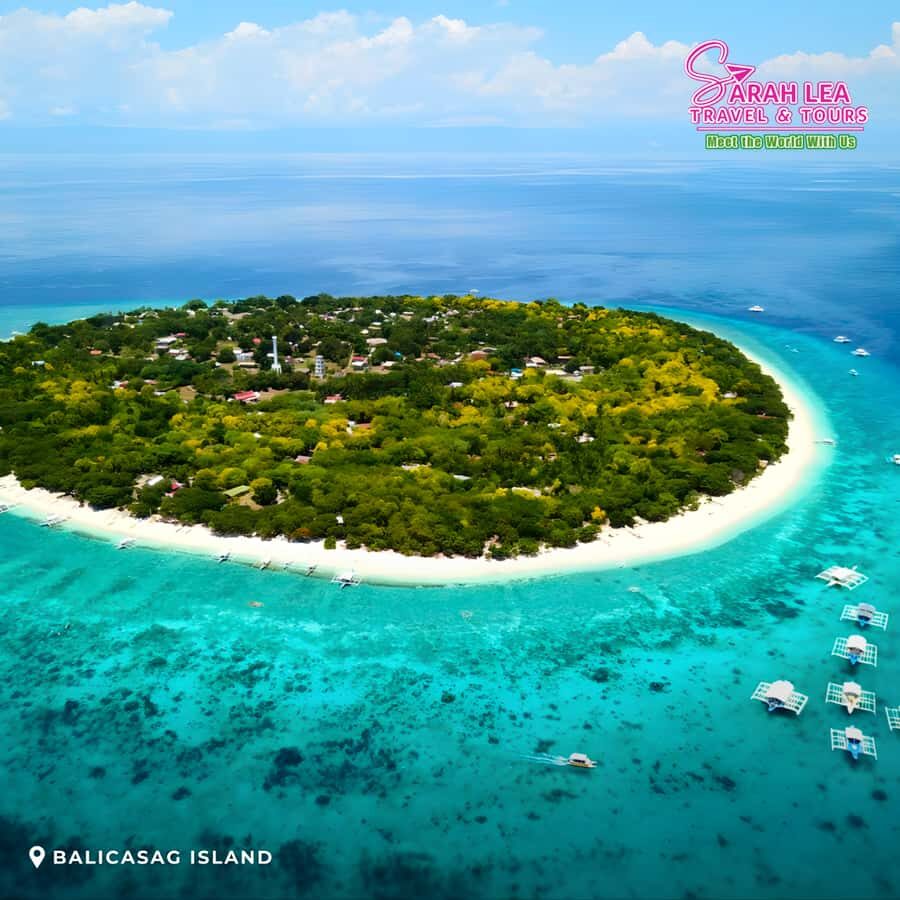 Bohol: Island Hopping with Dolphins, Turtles & Snorkeling - The Quality and Value